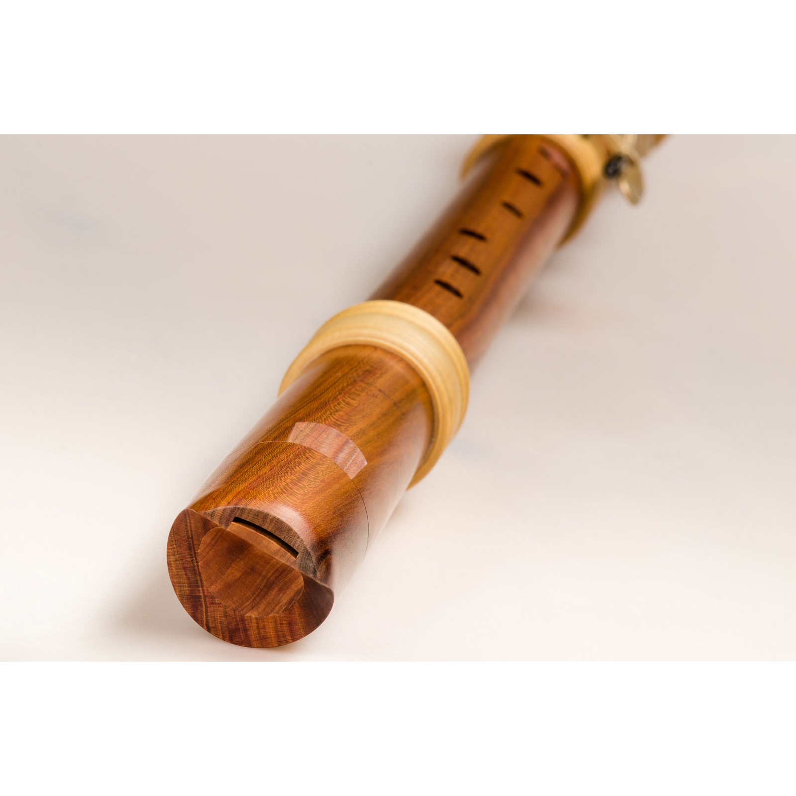 Tenor recorder Mollenhauer TE-4428 baroque fingering in plumwood