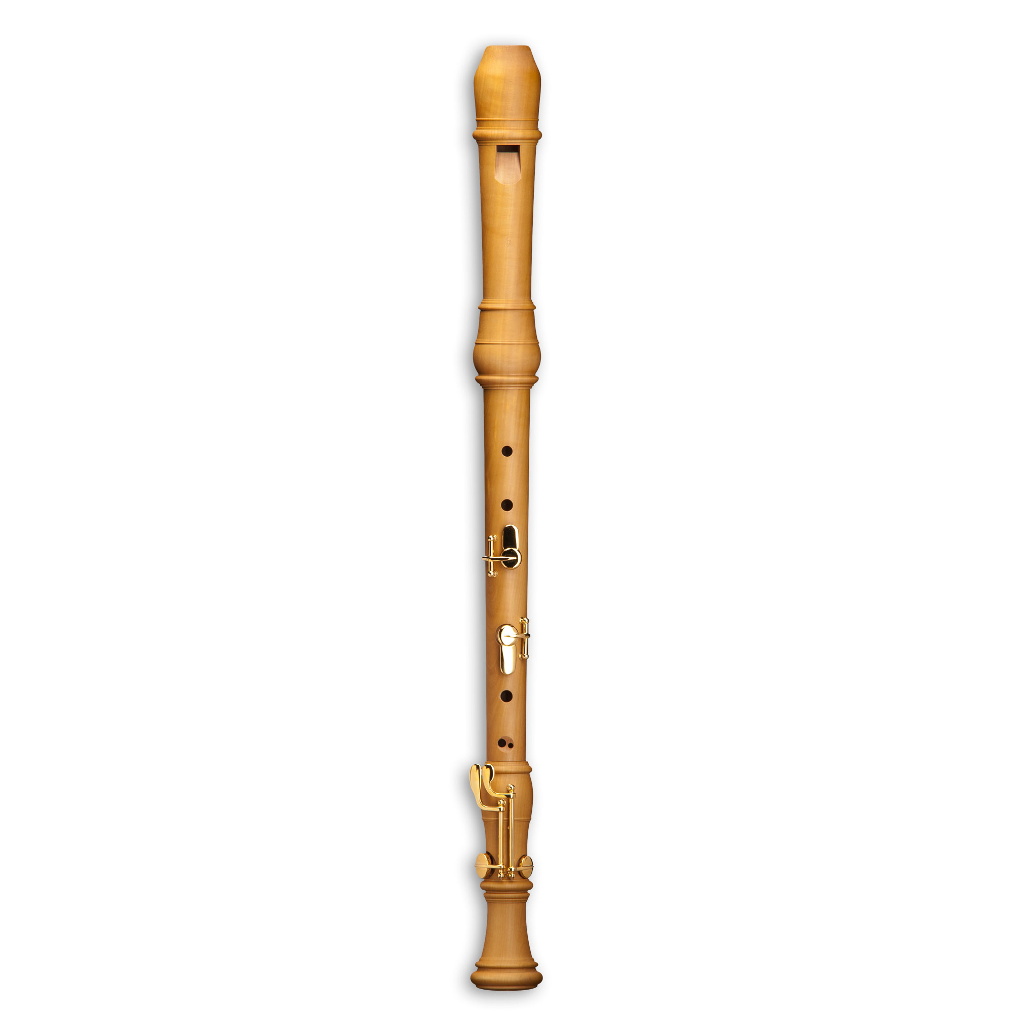 Recorder Instrument Tenor at Alden Johnson blog