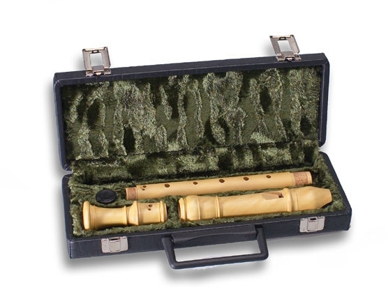 Hard case for alto recorder three part | Mollenhauer Shop EN